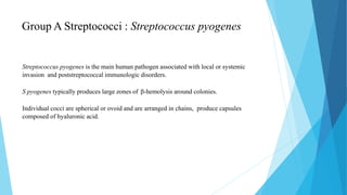 Pyogenic cocci.pptx