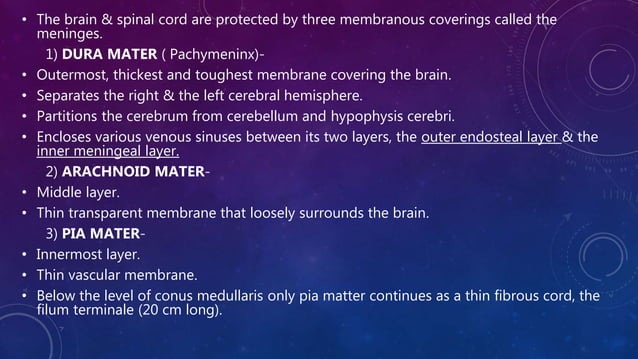 Pyogenic infection | PPTX | Infectious Diseases | Diseases and Conditions