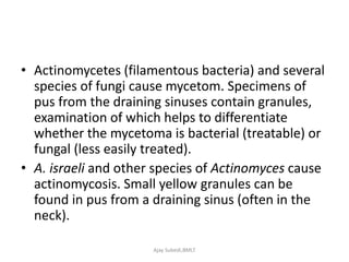 pyogenic infection.pptx