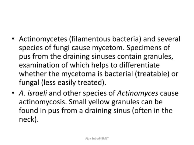 pyogenic infection.pptx | Skin and Dermatology | Diseases and Conditions