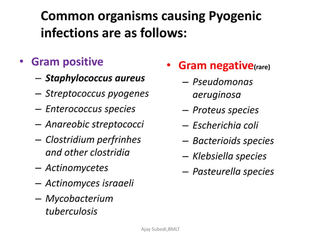 pyogenic infection.pptx | Skin and Dermatology | Diseases and Conditions