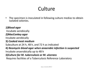 pyogenic infection.pptx