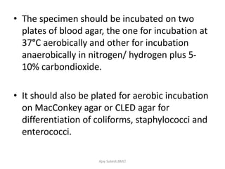 pyogenic infection.pptx