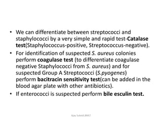 pyogenic infection.pptx