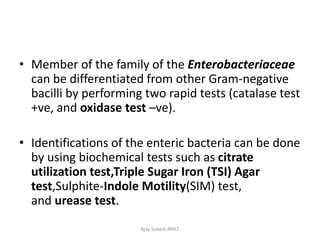 pyogenic infection.pptx