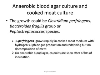pyogenic infection.pptx