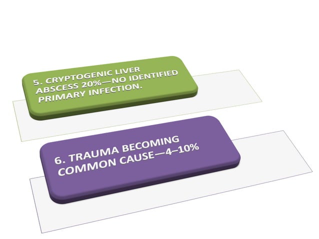 PYOGENIC LIVER ABSCESS-converted.pdf.24/08/24 | PPT | Free Download