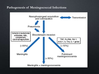 Pyogenic meningitis | PPT