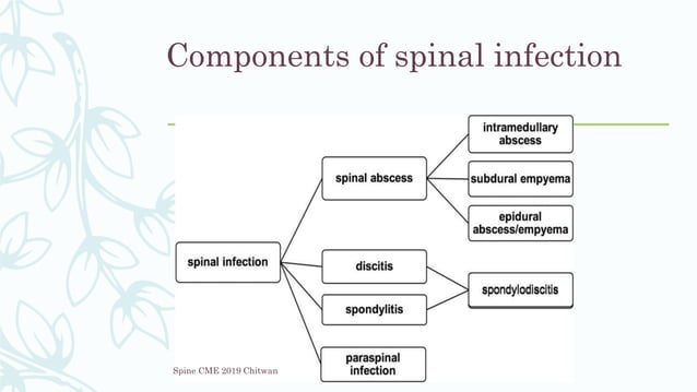Pyogenic spondylitis cme chitwan 2019 | PPTX | Bone and Joint ...