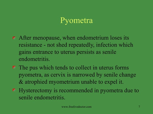 Pyometra | PPT