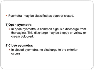 Pyometra | PPTX