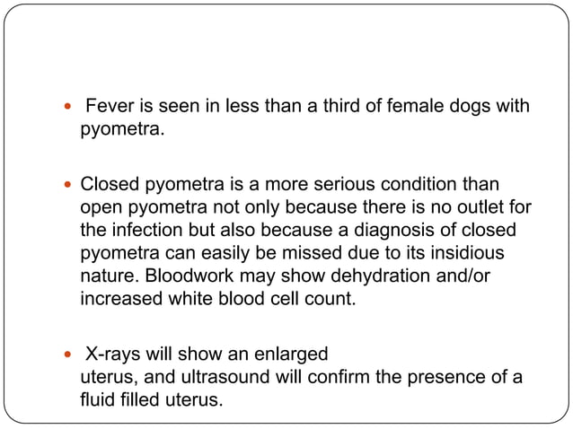 Pyometra | PPTX | Reproductive Health | Diseases and Conditions