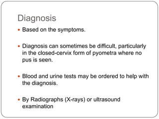 Pyometra | PPTX