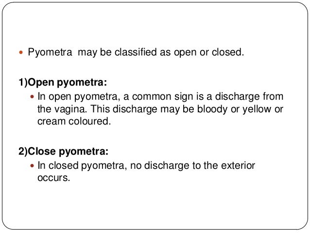 Pyometra