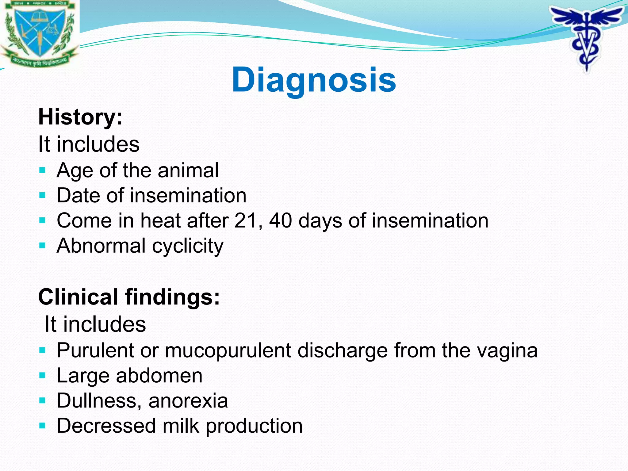 Pyometra in cow | PPTX