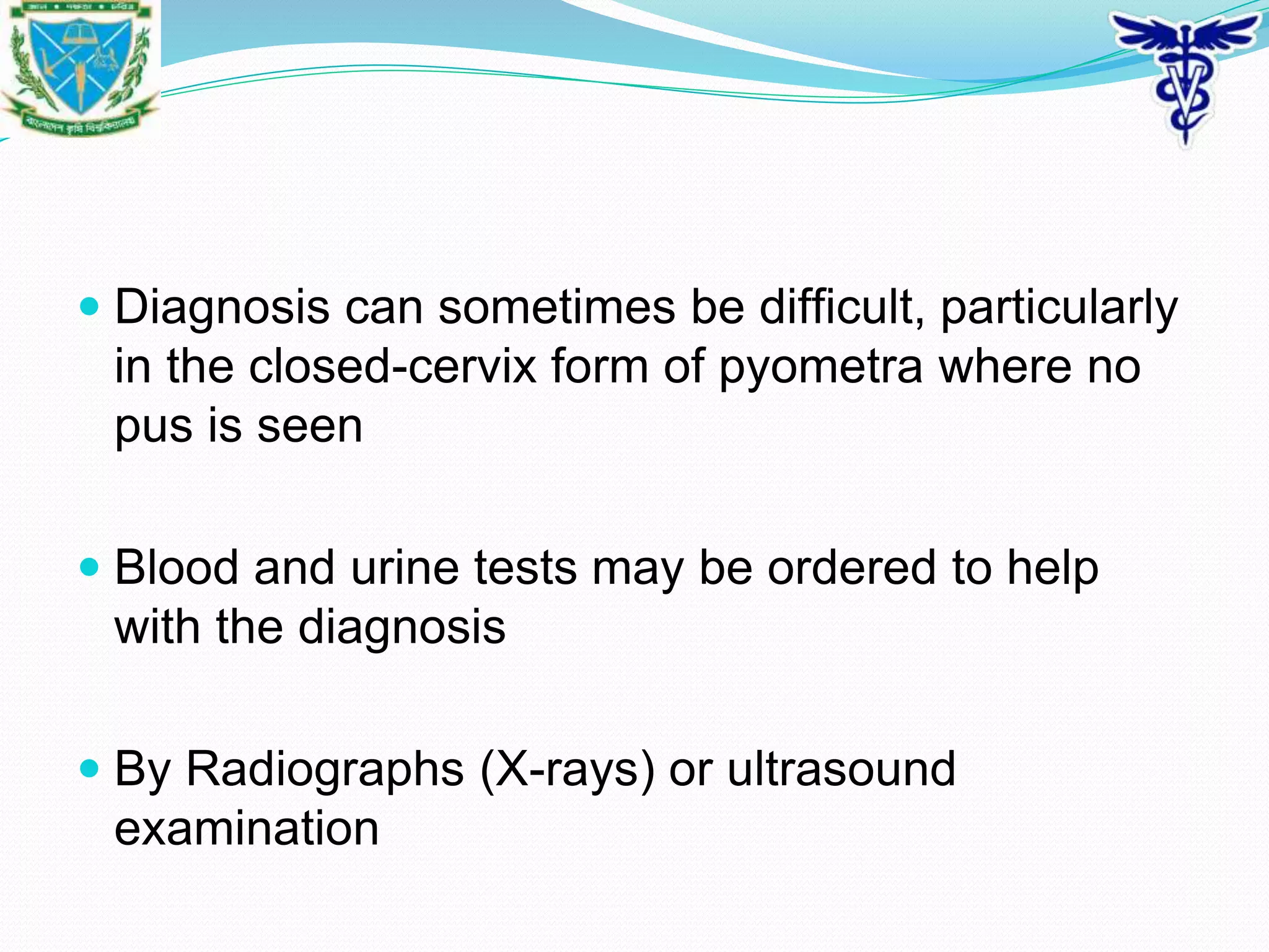 Pyometra in cow | PPTX