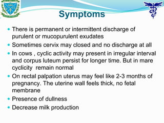 Pyometra in cow | PPTX