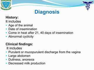 Pyometra in cow | PPTX