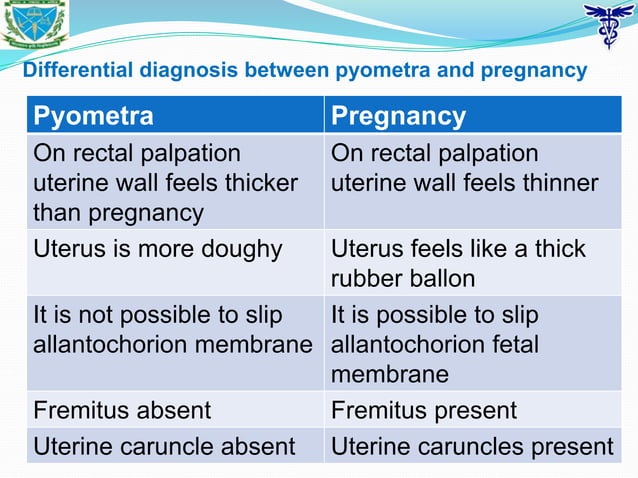 Pyometra in cow | PPTX