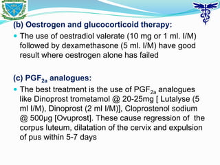 Pyometra in cow | PPTX