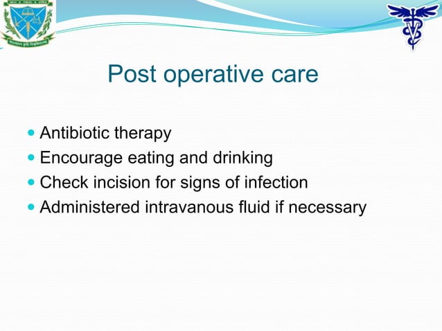Pyometra in cow | PPTX