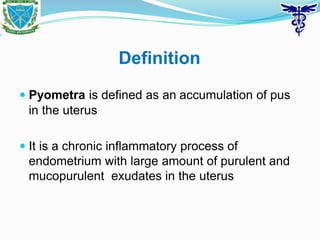 Pyometra in cow | PPTX