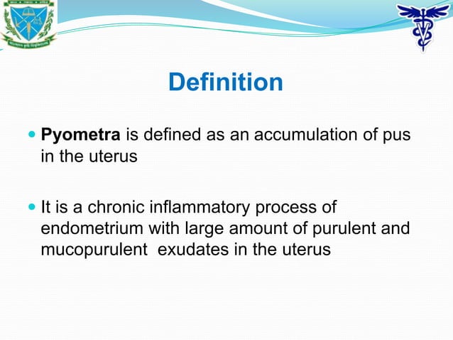 Pyometra in cow | PPTX