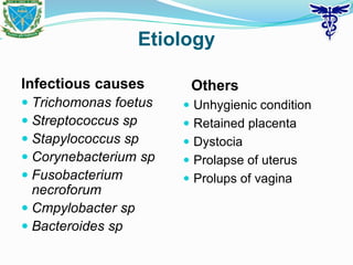 Pyometra in cow | PPTX