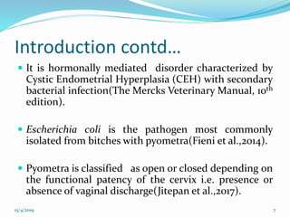 Pyometra in bitch | PPTX