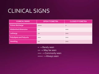 Pyometra in bitches | PPTX