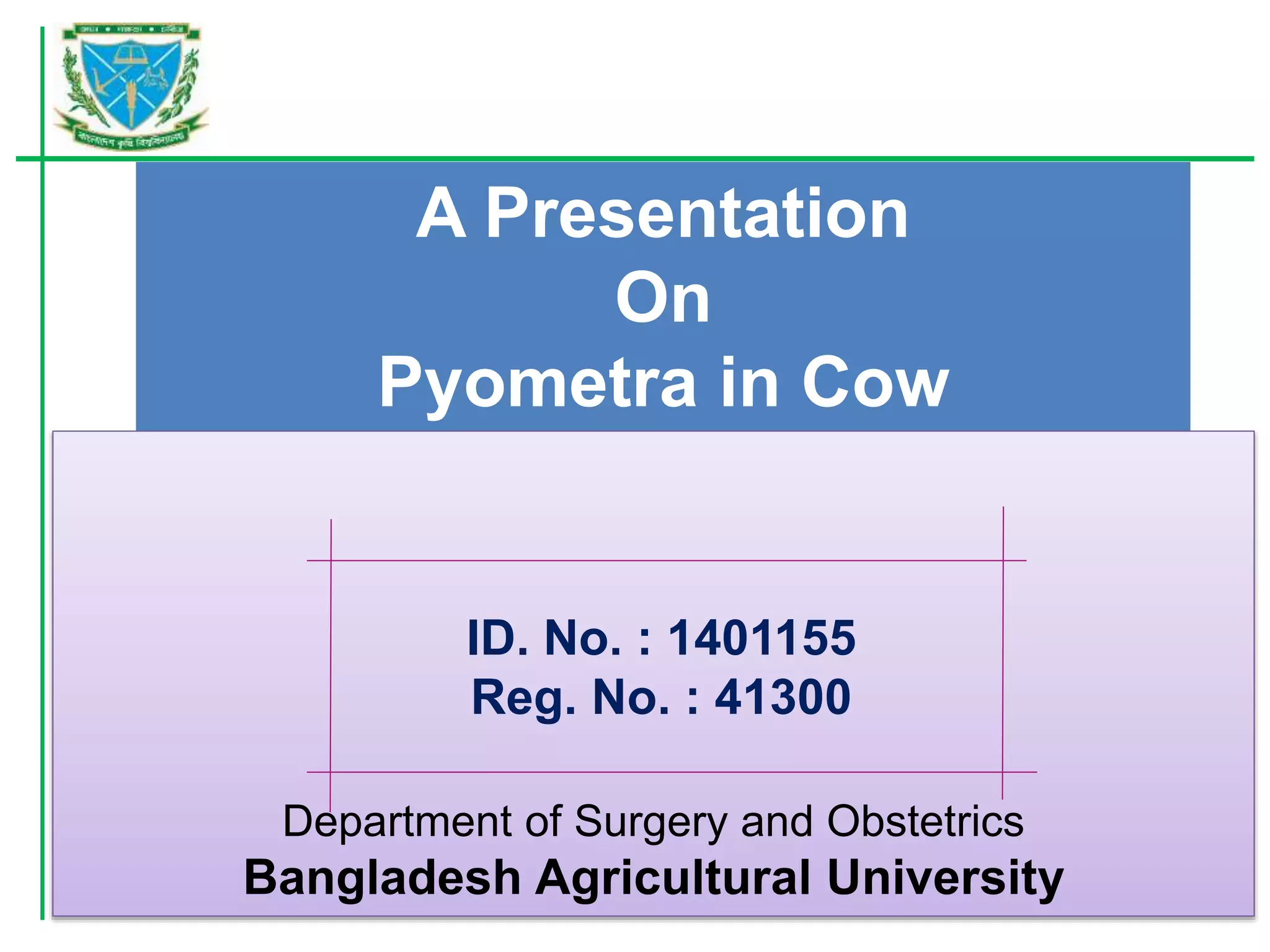 Pyometra in cow | PPTX
