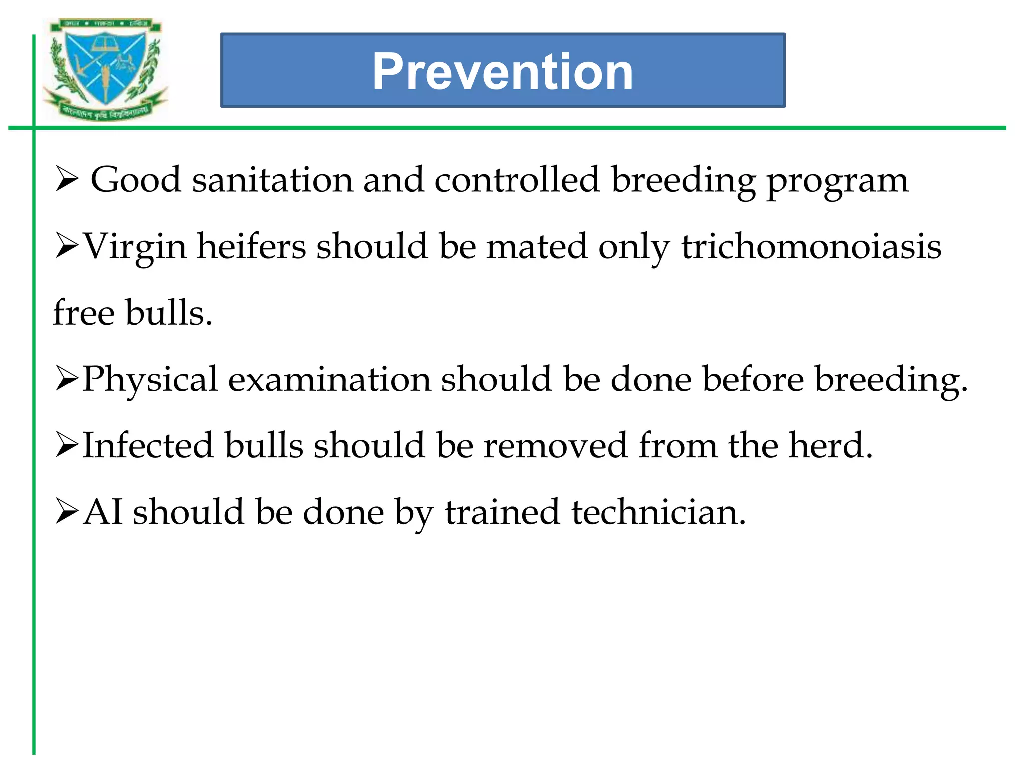 Pyometra in cow | PPTX