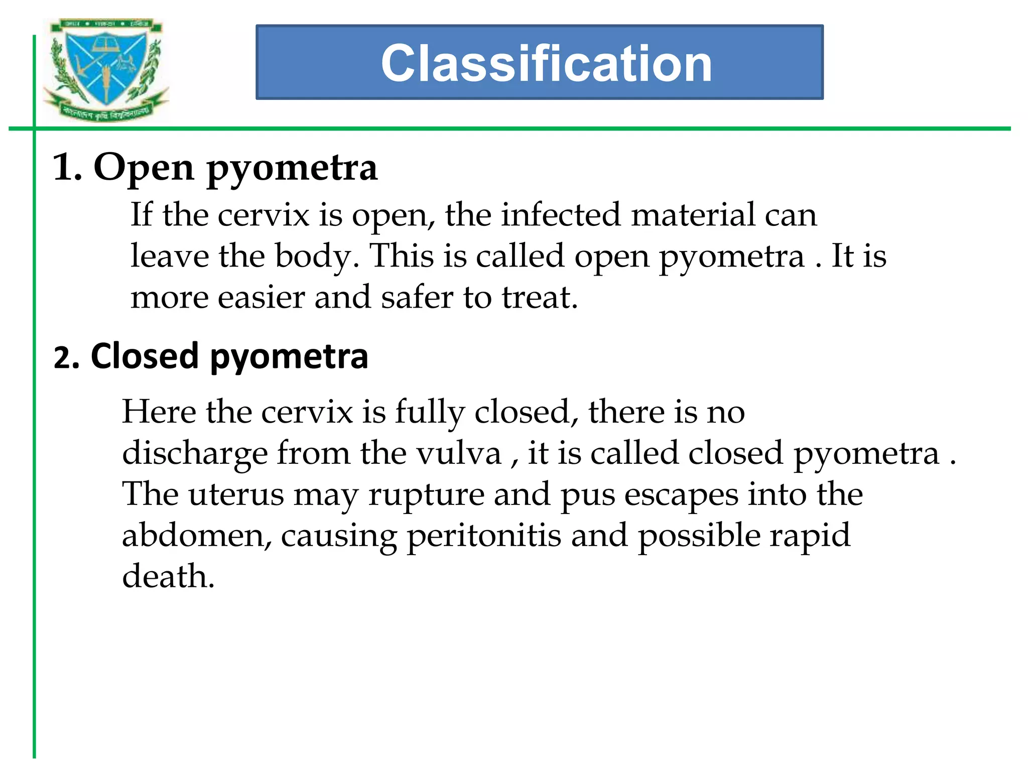Pyometra in cow | PPTX
