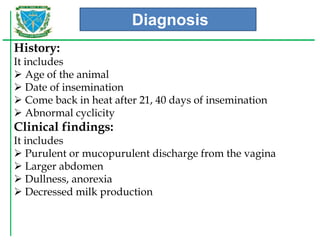 Pyometra in cow | PPTX