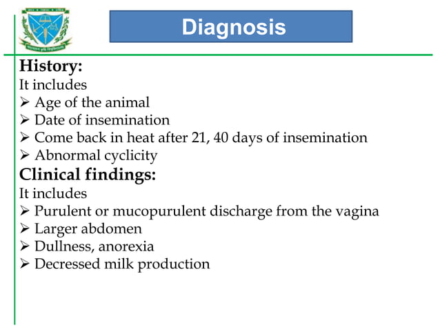 Pyometra in cow | PPTX | Pregnancy | Reproductive Health