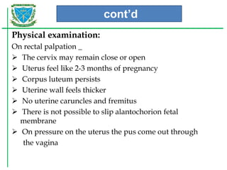 Pyometra in cow | PPTX