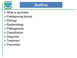 Pyometra in cow | PPTX