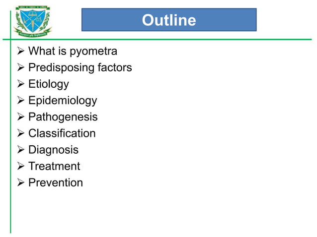 Pyometra in cow | PPTX | Pregnancy | Reproductive Health