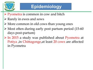 Pyometra in cow | PPTX