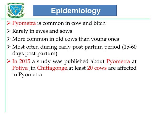 Pyometra in cow | PPTX | Pregnancy | Reproductive Health