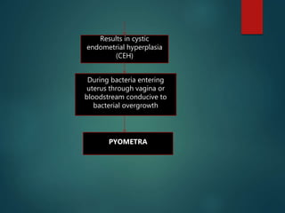 PYOMETRA | PPTX