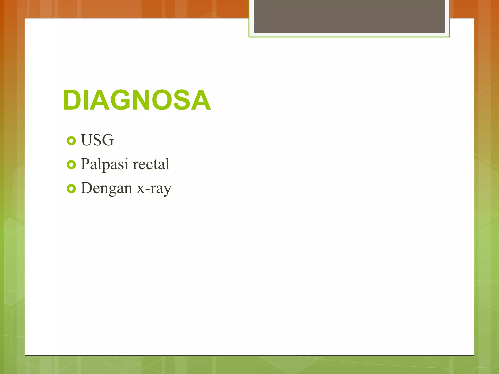 Pyometra pada sapi | PPTX