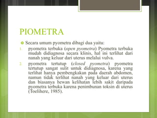 Pyometra pada sapi | PPTX