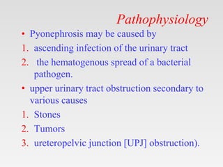 Pyonephrosis.pptx