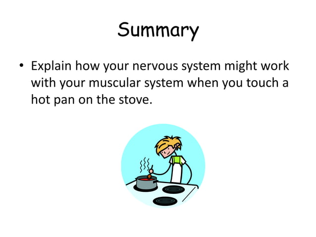 PYP Human Body Systems.ppt | Brain and Nervous System Disorders ...