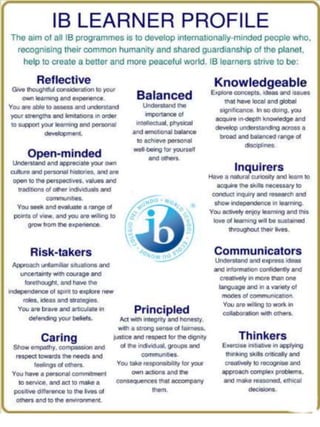 Pyp profile and attitudes | PDF