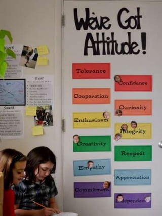 Pyp profile and attitudes | PDF