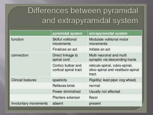 Pyramidal and extrapyramidal tracts of spinal cord by sk | PPTX