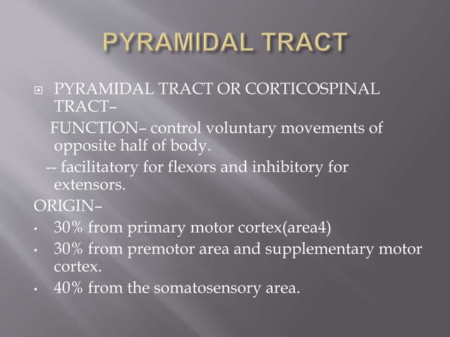 Pyramidal and extrapyramidal tracts of spinal cord by sk | PPTX
