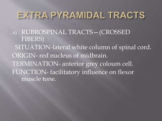 Pyramidal and extrapyramidal tracts of spinal cord by sk | PPTX